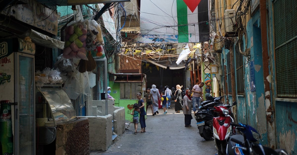 Our Campaigns | Amplifying Palestinian Voices | Medical Aid for ...